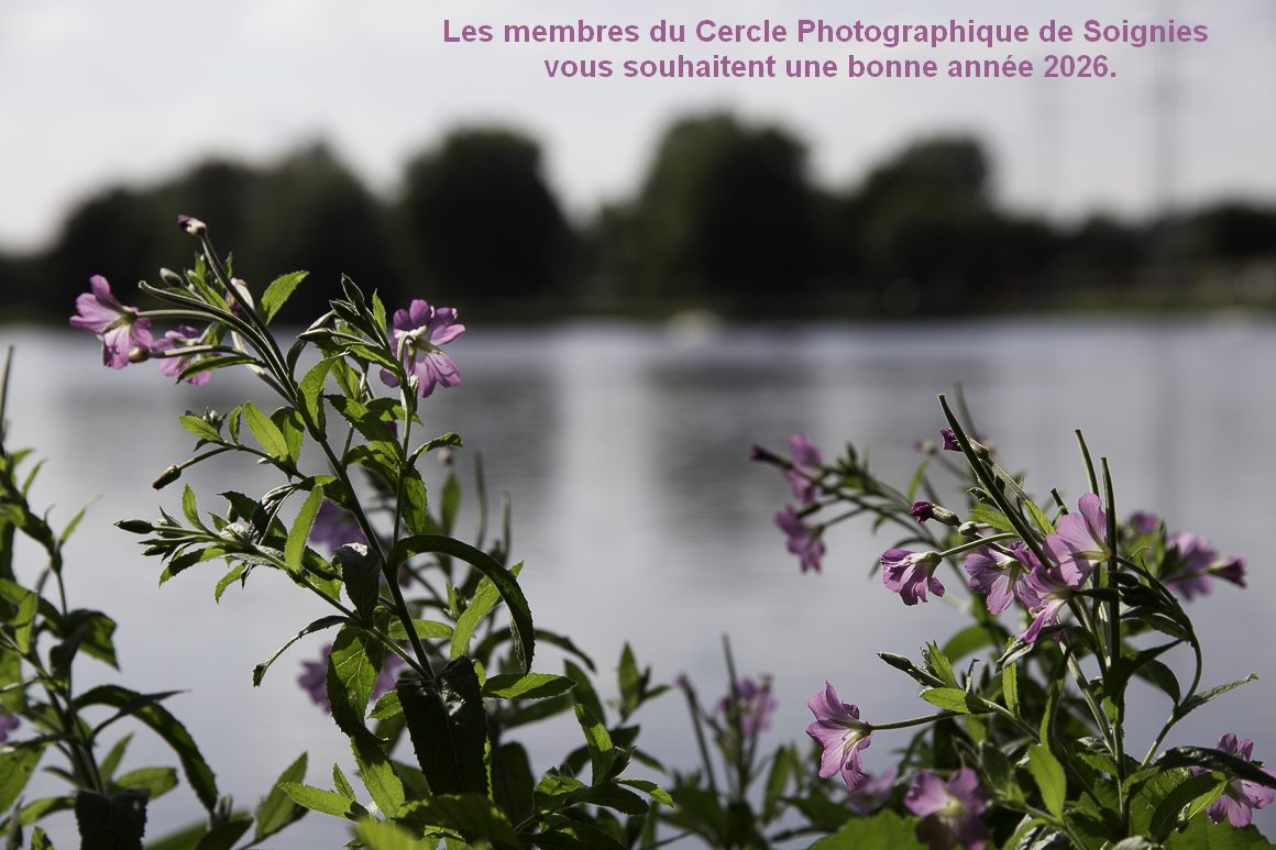 Vœux 2026 du Cercle Photographique – Cercle Photographique de Soignies ...
